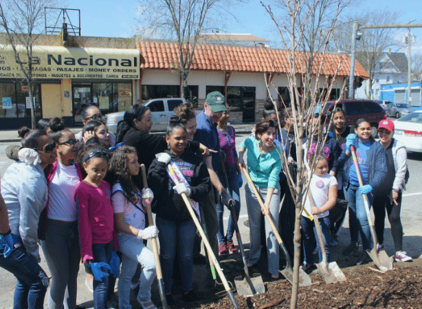 City of Providence Street Tree Planting - City of Providence