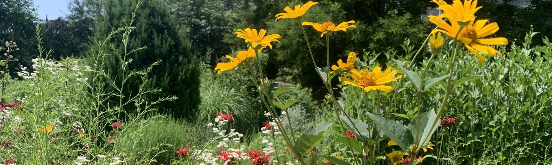 City of Providence Plan your Visit - City of Providence