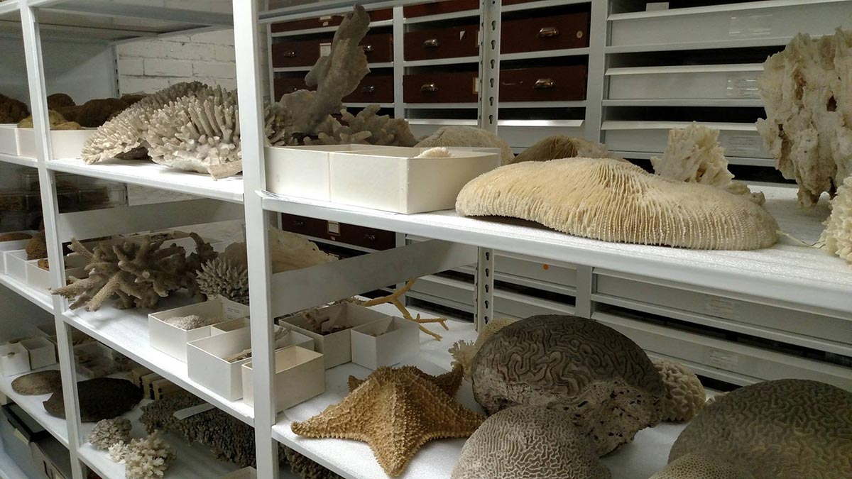 City of Providence Museum Collection Items - City of Providence