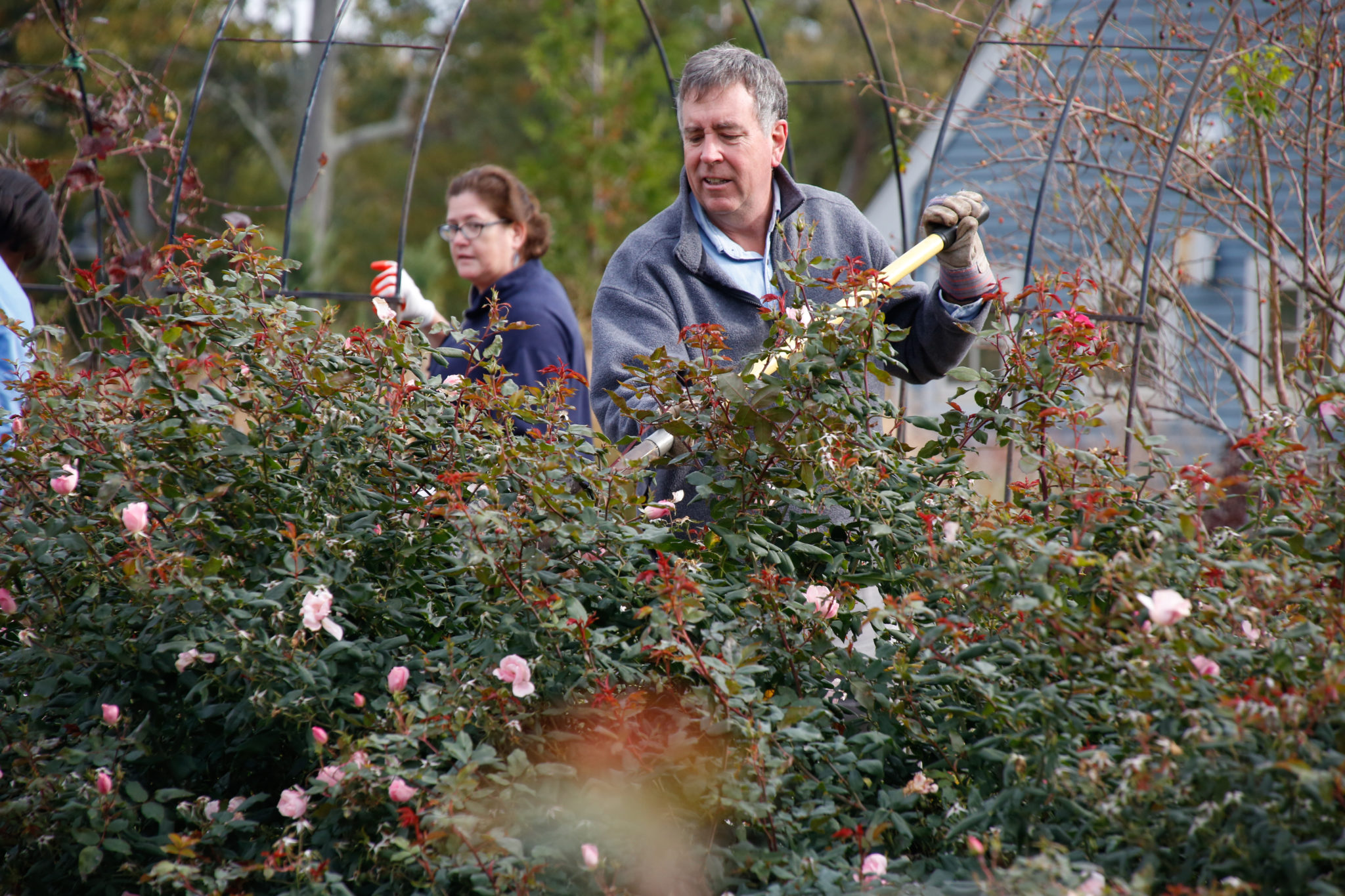 City of Providence RWP-11 - City of Providence