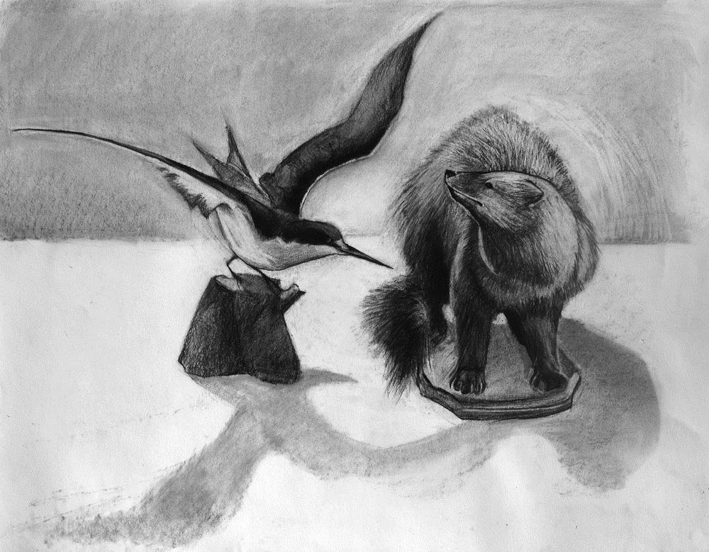 City of Providence Drawing Wild 2019 - City of Providence