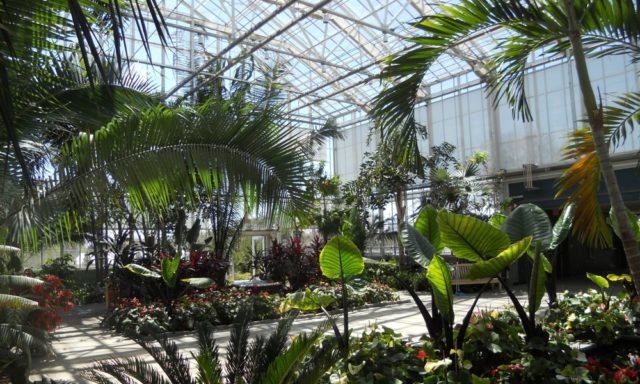 City of Providence RWP-botanical garden - City of Providence