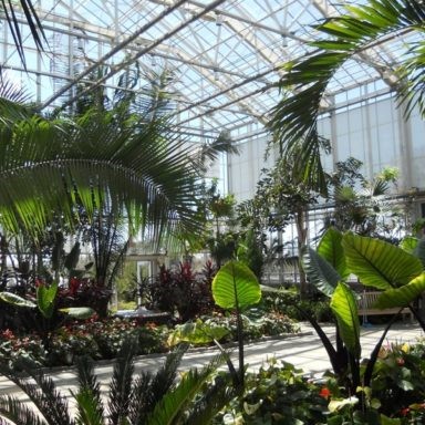 City of Providence RWP-botanical garden_square - City of Providence