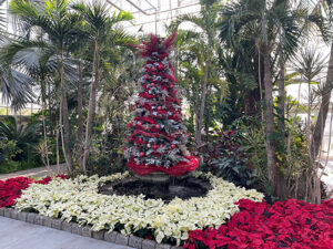 City of Providence rwpbg-holiday-2022 - City of Providence