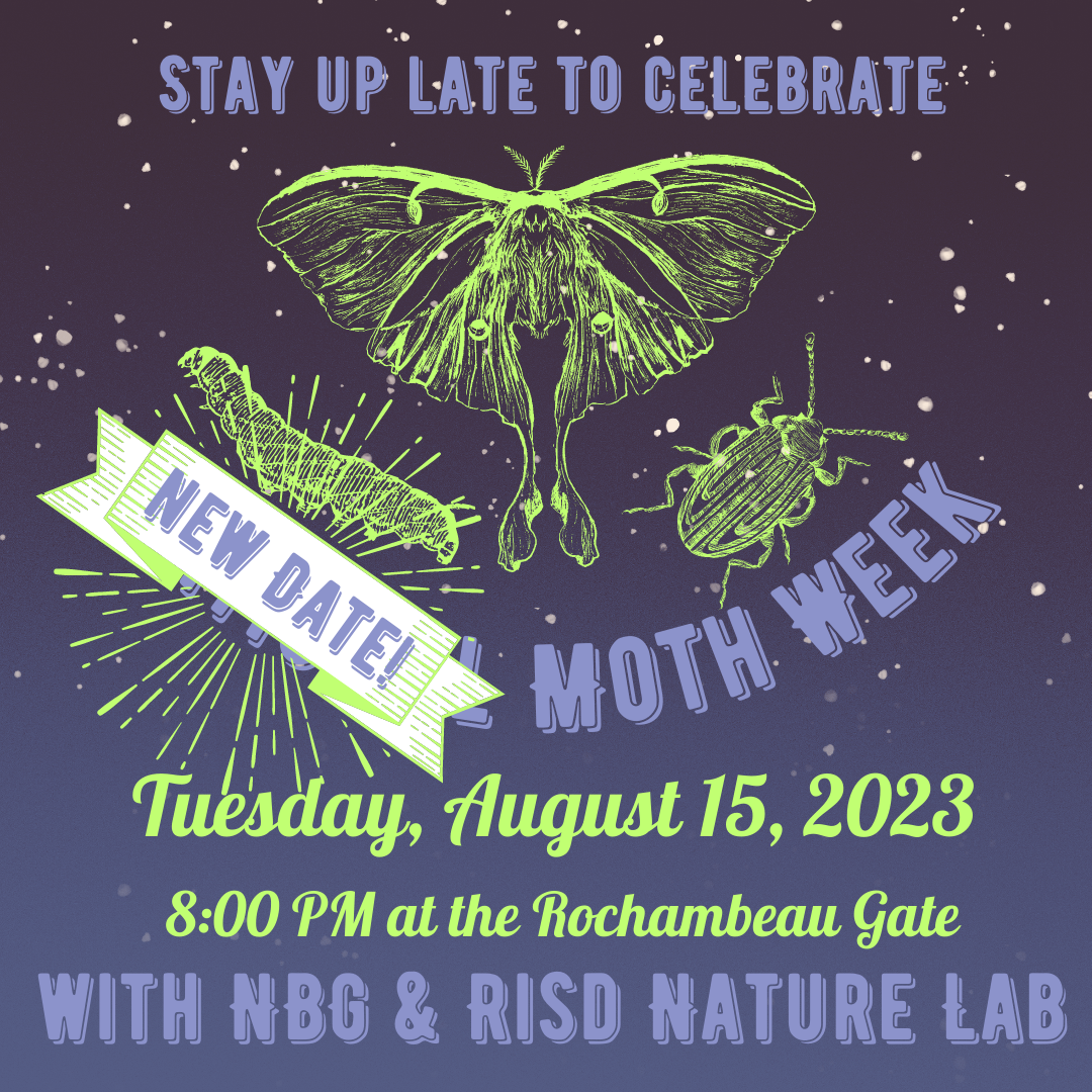 City of Providence National Moth Week (3) - City of Providence