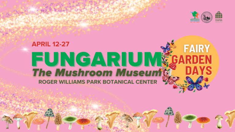 City of Providence Fairy Garden Days 2025 Fungarium: The Mushroom ...