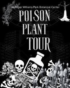 City of Providence Roger Williams Park Botanical Center - City of ...